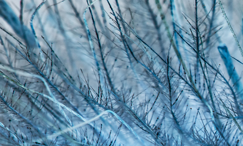 Surface Analysis | Oxford Materials Characterisation Service